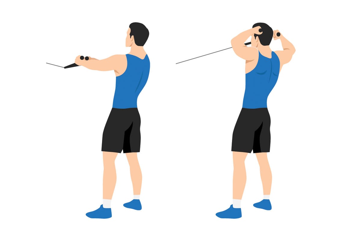 Face Pull Cable Exercise Benefits Technique And 3 Variations Flex AI