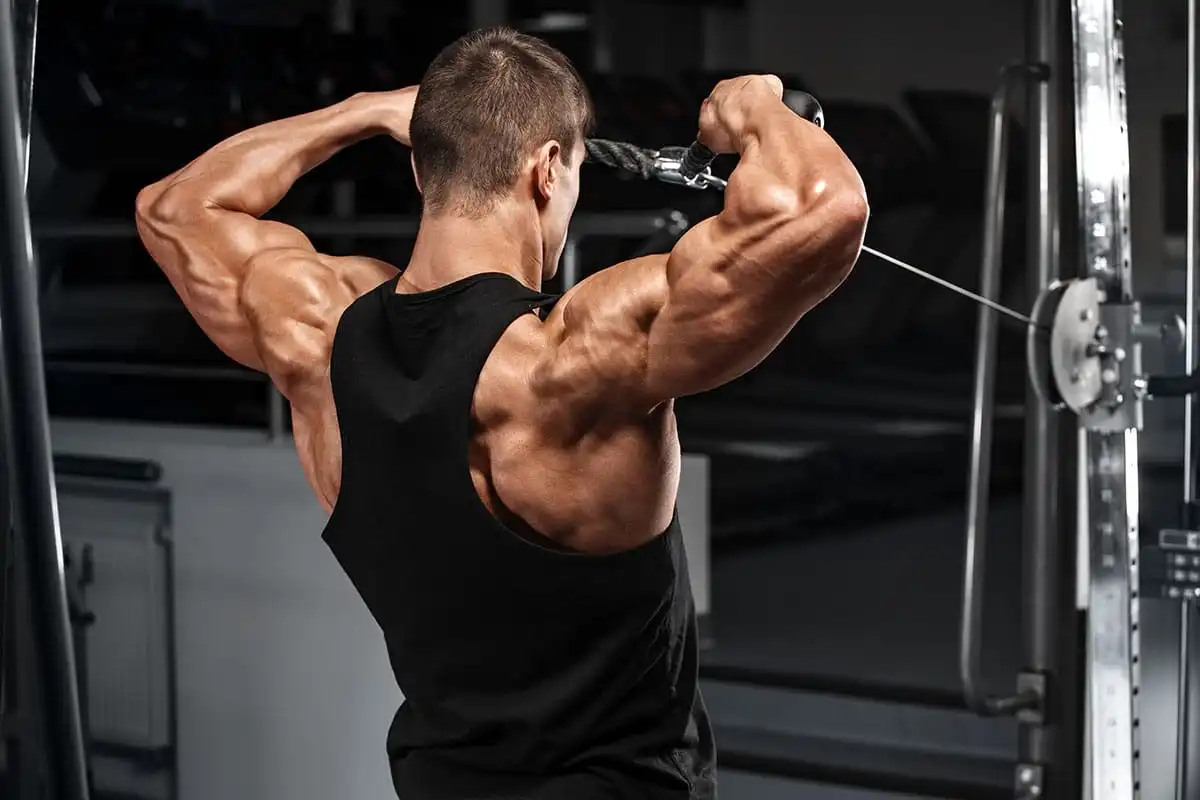 Face Pull Cable Exercise Benefits Technique And 3 Variations Flex AI